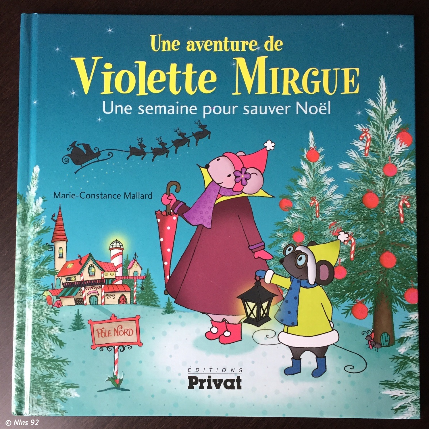 Une aventure de Noël avec Violette Mirgue