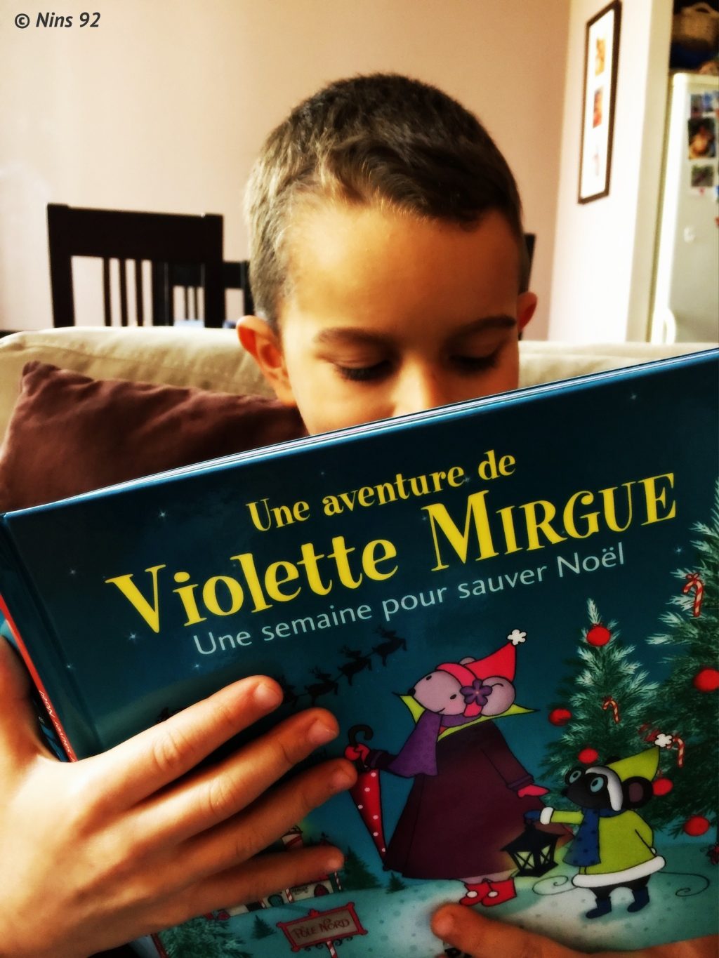 Une aventure de Noël avec Violette Mirgue
